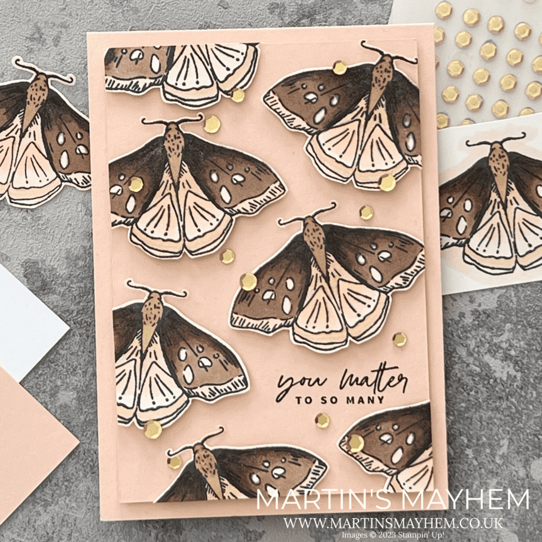 Stampin' Blends - Stampin' Up! Night of Flight Stamp Set - Martin's Mayhem